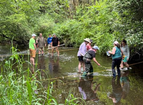Stream Flow And Habitat Monitoring Snoking Watershed Council