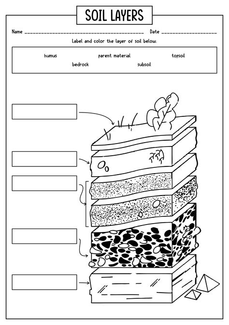 Soil Profile Worksheet Soil Notebook Pages Homeschool Share