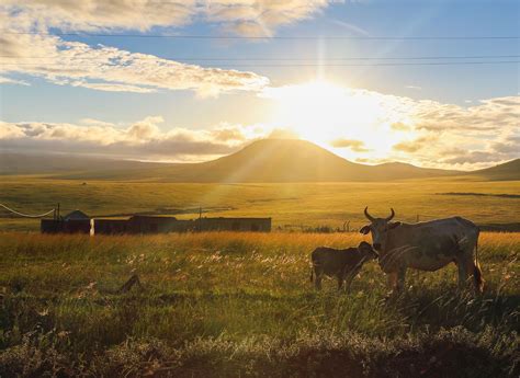 The Babanango Foundation Working Together For A Better Future