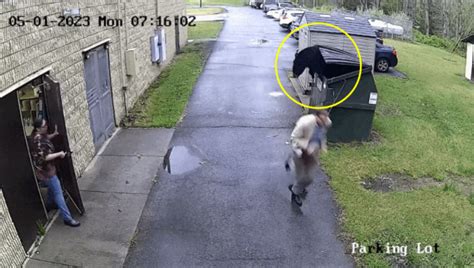 학교 쓰레기통 열었더니 흑곰이 불쑥놀라 내달린 美교장 아시아경제