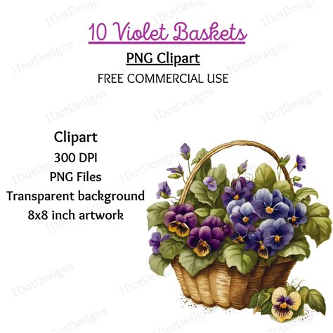 Violet Basket Clipart Bundle Violets Png Watercolor Clipart Floral
