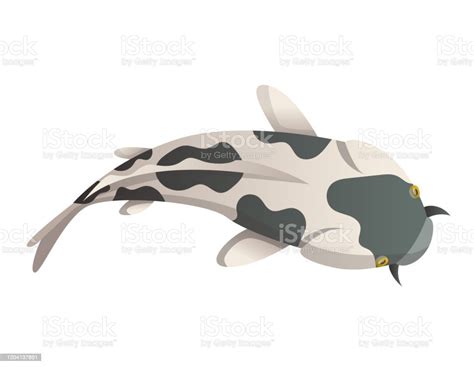 침착하게 떠다니는 물고기 잉어 물고기 벡터 일러스트 일본 잉어 아시아에서 다채로운 동양 잉어 중국 금붕어 배경에 고립 된 전통 어업 금붕어에 대한 스톡 벡터 아트 및 기타