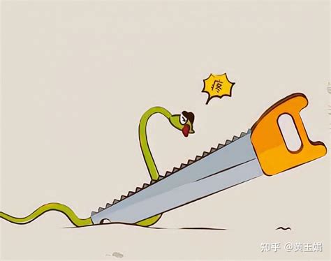 蛇与锯子的故事控制情绪的重要性 知乎