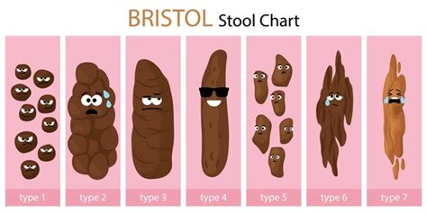 Printable Bristol Stool Chartpdf