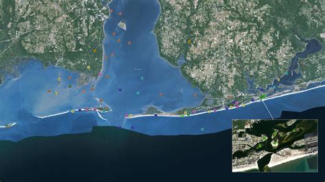 Mobile Bay National Estuary Program Mbnep Habitat Mapping Project
