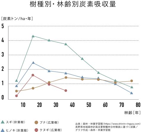脱炭素社会実現に向けた木材の活用CARBON STOCK FURNITURE