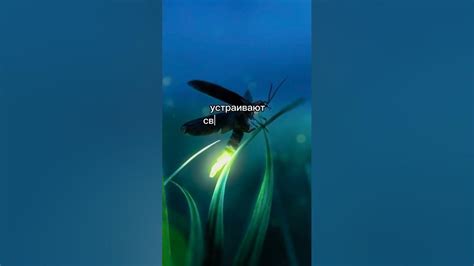 Хаос закономерность загадочные интересныефакты топ путешествия необычныеместа