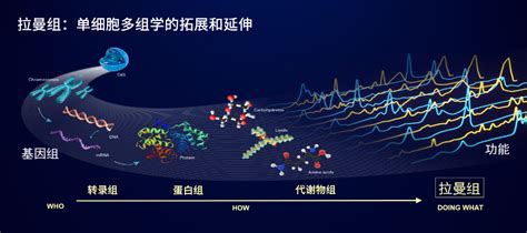 什么是拉曼组？能提供什么信息？相对于转录组、蛋白组和代谢组有何特色？
