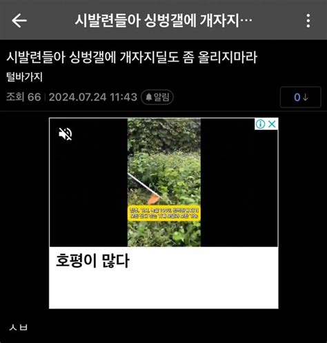 개자지딜도좀 올리지마라  유머 움짤 이슈 에펨코리아