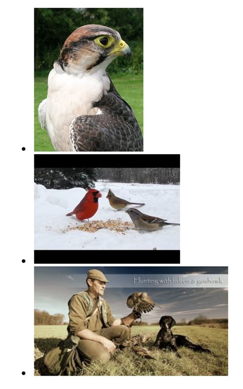 Video Modmore Documentation