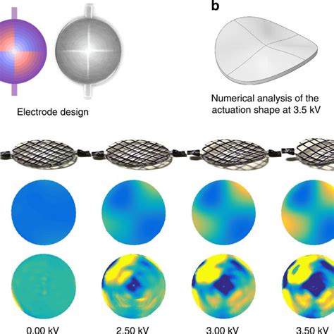 A Thin Sheet Of Elastomer Morphing Into A Saddle With Negative Gaussian