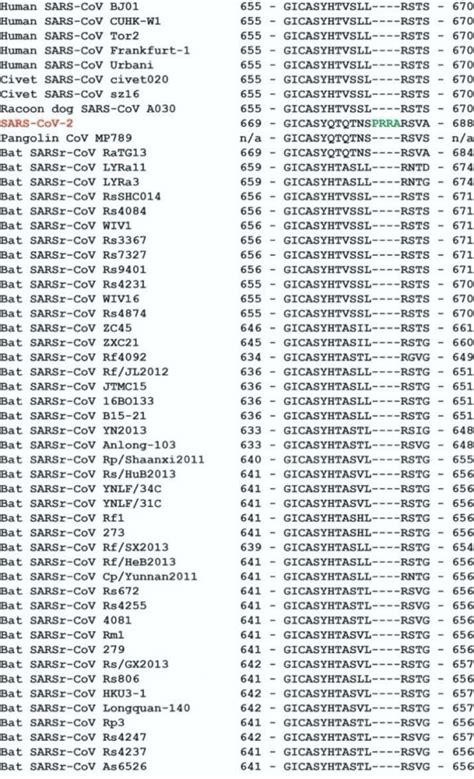 Comparative Study Of Opencv Inpainting Algorithms