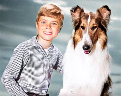 He Was Timmy On Lassie The Remarkable Life And Career Of Jon Provost