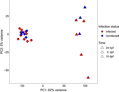 Principal Component Analysis Pca Of Transcriptome Variation In Culex Download Scientific