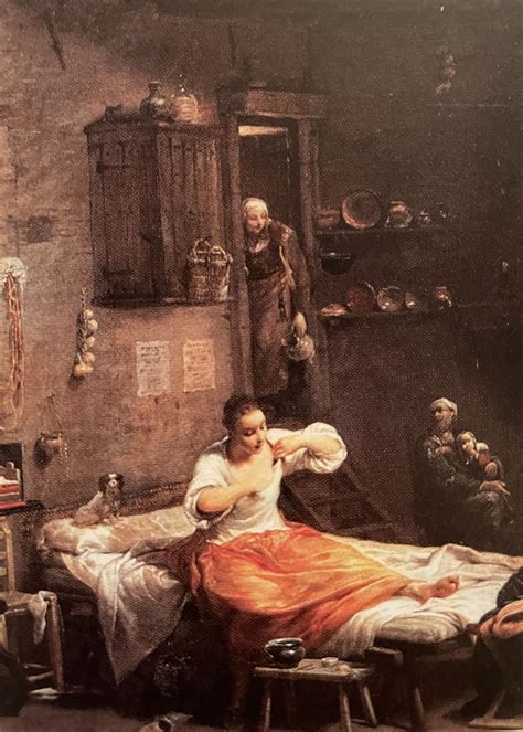 Pulci Pidocchi E Malattie Cura E Comunità