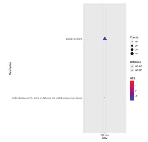 Gene Set Enrichment Analysis GSEA Performed By WEB Based Gene SeT Download Scientific Diagram
