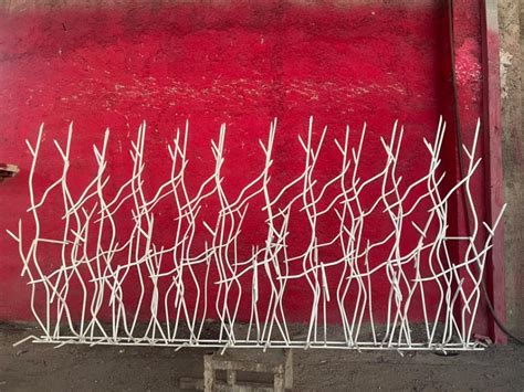 شاخ گوزنی 09126600924 شاخ گوزنی اقساطی قیمت شاخ گوزنی