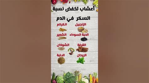 أهم الأعشاب المفيدة لصحتك👍 اكسبلور Explore Youtube