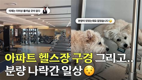 신축아파트 헬스장 구경 그리고 😪 분량 나락간 일상 Vlog 한솥도시락 하이라이스 새우관자 알리오올리오 프랭크버거 청년피자 Youtube