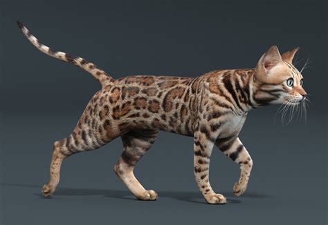 Cat 3d Models 8 Best Options To Download And 3d Print
