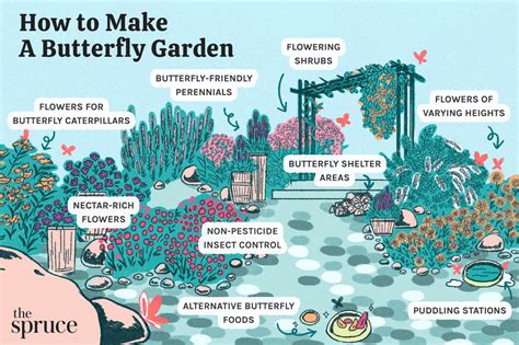 Plant A Beautiful Garden Butterflies Will Love Butterfly Garden