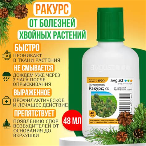 Август / Ракурс - лекарство для борьбы с шютте, ржавчиной на хвойных ...