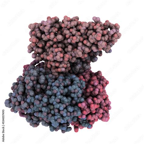 Cholera Toxin Molecule Chemical Structure This Toxin Is Responsible