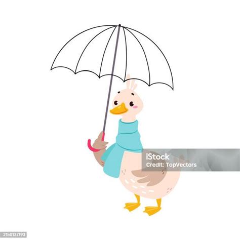 재미있는 거위 캐릭터 에서 스카프 스탠드 와 우산 벡터 일러스트 가금류에 대한 스톡 벡터 아트 및 기타 이미지 가금류 거위 새 걷기 Istock
