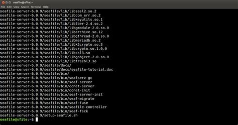 Application Server Seafile How To On Ubuntu 16 04