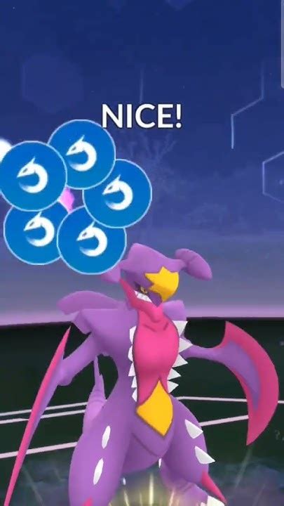 포고 비주기 깨기 포고 그림자 그란돈 3트만에 껨 Youtube