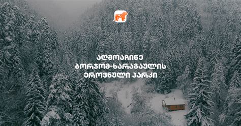 3 მიზეზი თუ რატომ უნდა ეწვიო ბორჯომ ხარაგაულის ეროვნულ პარკს არ გაჩერდე