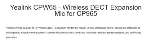 CPW65-DECT-Duo | Yealink Online - Malaysia Store