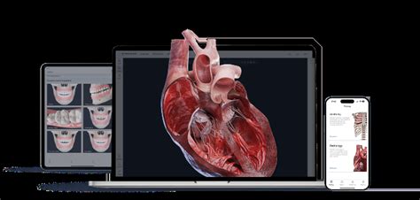 Scapula Fractures Classification Symptoms Signs Diagnosis And Treatment