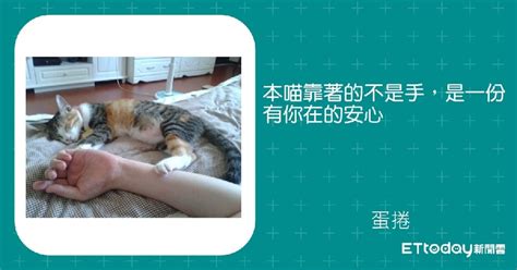 喜歡你每個樣子 貓奴狗僕 撩寵語錄 撩寵金句大募集 心動瞬間通通撩進心坎裡 Ettoday新聞雲