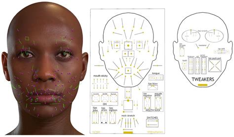 Optimizing Ui Layouts For Deformable Face Rig Manipulation