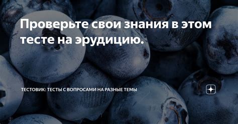 Проверьте свои знания в этом тесте на эрудицию Тестовик тесты с вопросами на разные темы Дзен
