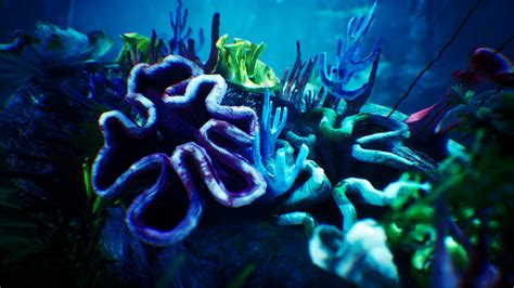 3d Model Underwater World 70 Assets Vr Ar Low Poly Cgtrader