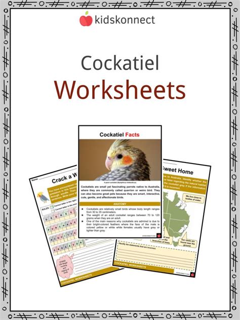 Cockatiel Worksheets And Facts Anatomy Habitat Diet Popular Pet