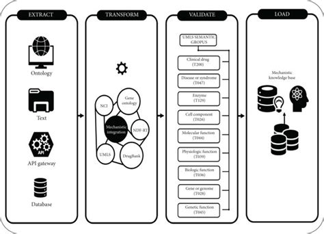 our methodology for extracting biomedical data information knowledge