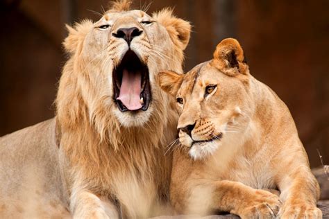 Sex Shocker Men And Women Aren T That Different Salon Com