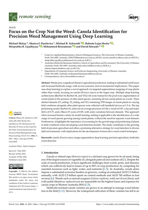 PDF Focus On The Crop Not The Weed Canola Identification For Precision Weed Management Using