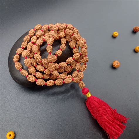 2 Mukhi Two Face Java Rudraksha Mala 1081 Beads 8 10mm