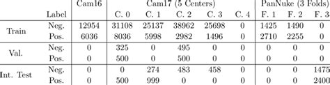 summary of the train validation internal and external test splits