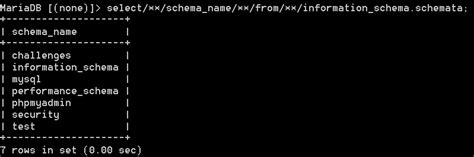 Sql注入绕过技巧 Vvvinson 博客园