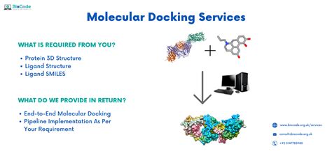 Molecular Docking Services Biocode