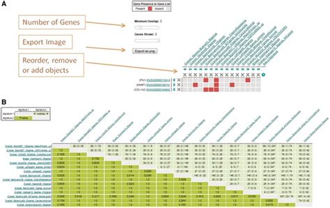 Screen Shots Of The ‘analyze My Gene Lists And ‘comparison View The