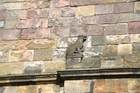 Thaddaeus Bilder Durchsuchen 716 Archivfotos Vektorgrafiken Und Videos Adobe Stock