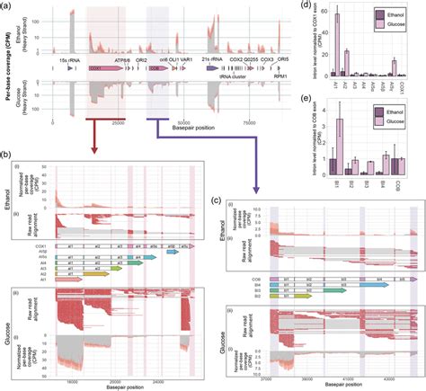 Sequencing Coverage Of The Mitochondrial Transcriptome Of Cultures