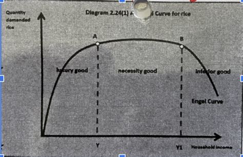 IB Econ Micro Flashcards Quizlet