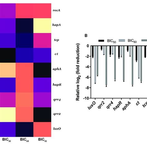 Expression Analysis Of Vibrio Cholerae Virulence Genes By